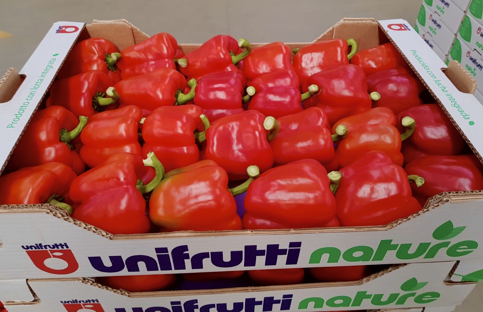 Unifrutti expands into the vegetable business - Unifrutti Group